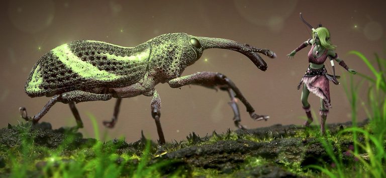 Top 10 Cele Mai Mari Insecte De Pe Planetă | Top 10 In Lume